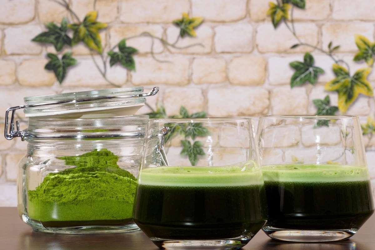 6 Best Greens Powder by A Registered Dietitian